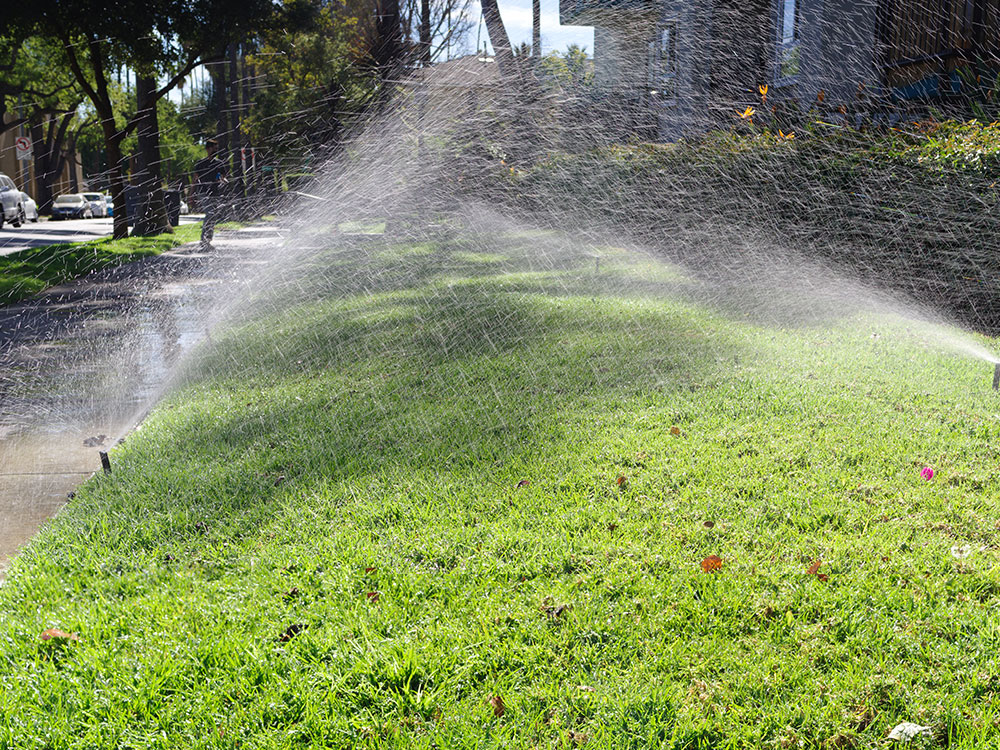 Irrigation Design Systems | Future Green Irrigation