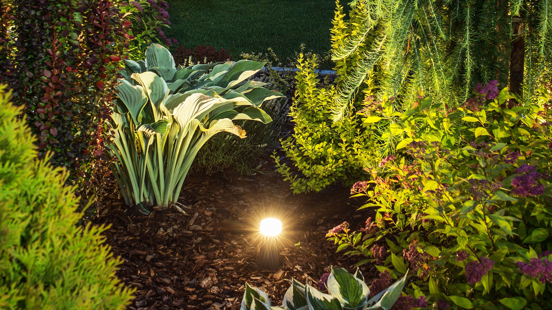 Landscape Lighting Install and Repair | Future Green Irrigation